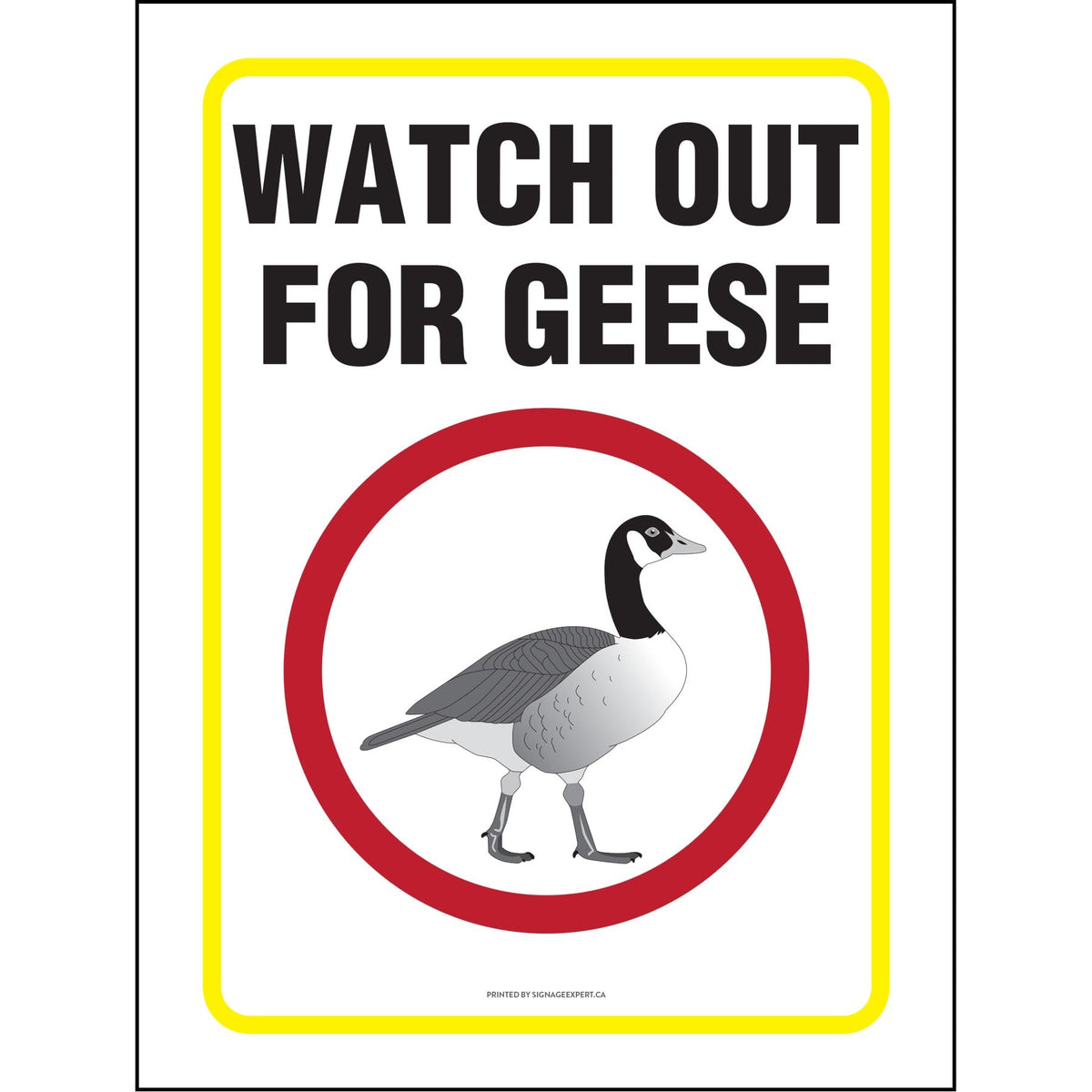 Watch Out for Geese – Affiche Expert